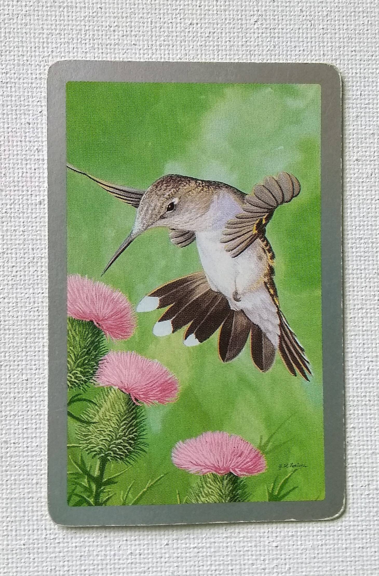 Hummingbird Cards Set of 5 Playing Cards Hummingbird with Pink | Etsy