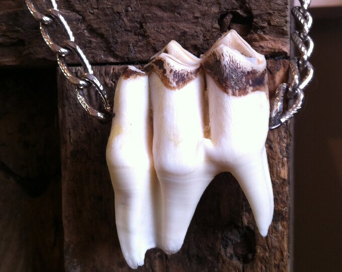Huge Bison Tooth Necklace Statement Piece Animal Bone - Etsy