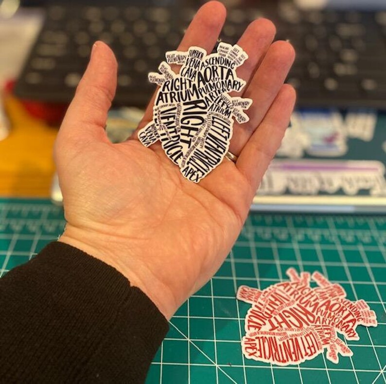 Heart Anatomy Vinyl Decal Sticker Multiple Colors Available - Etsy