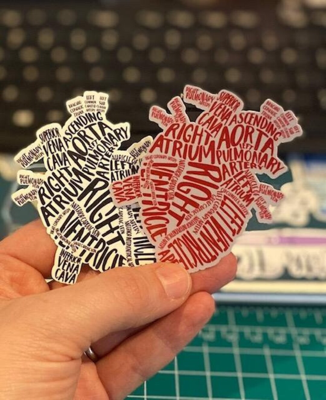 Heart Anatomy Vinyl Decal Sticker Multiple Colors Available - Etsy