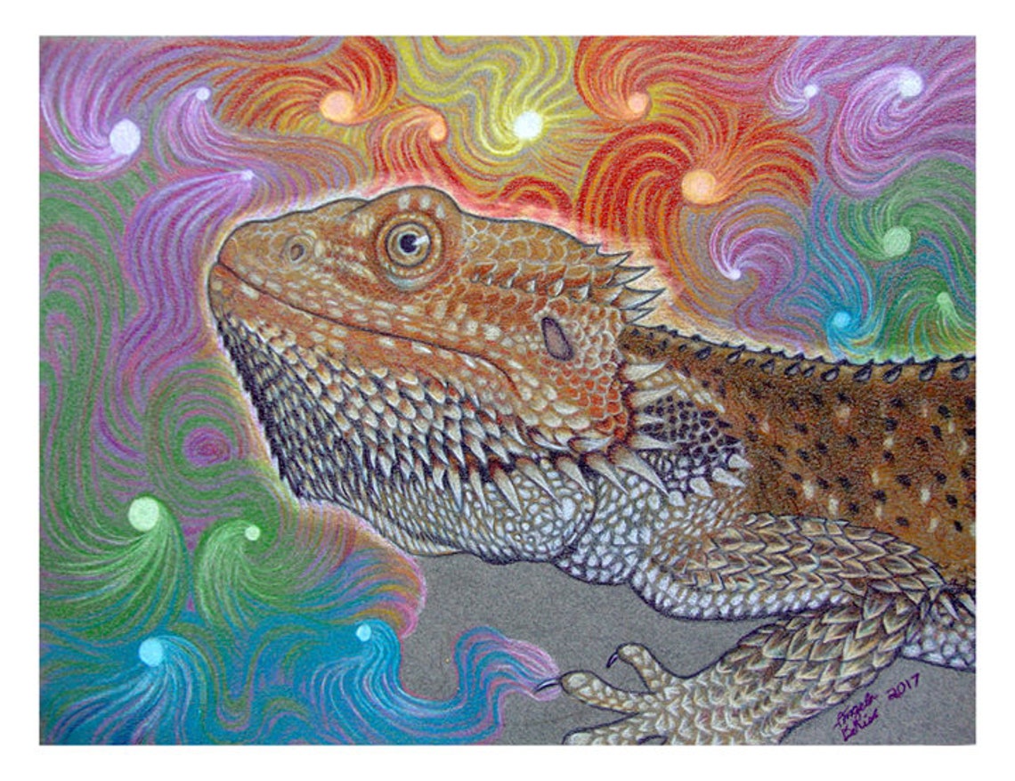 Bearded Dragon Art Print "cosmic Dragon" - Etsy