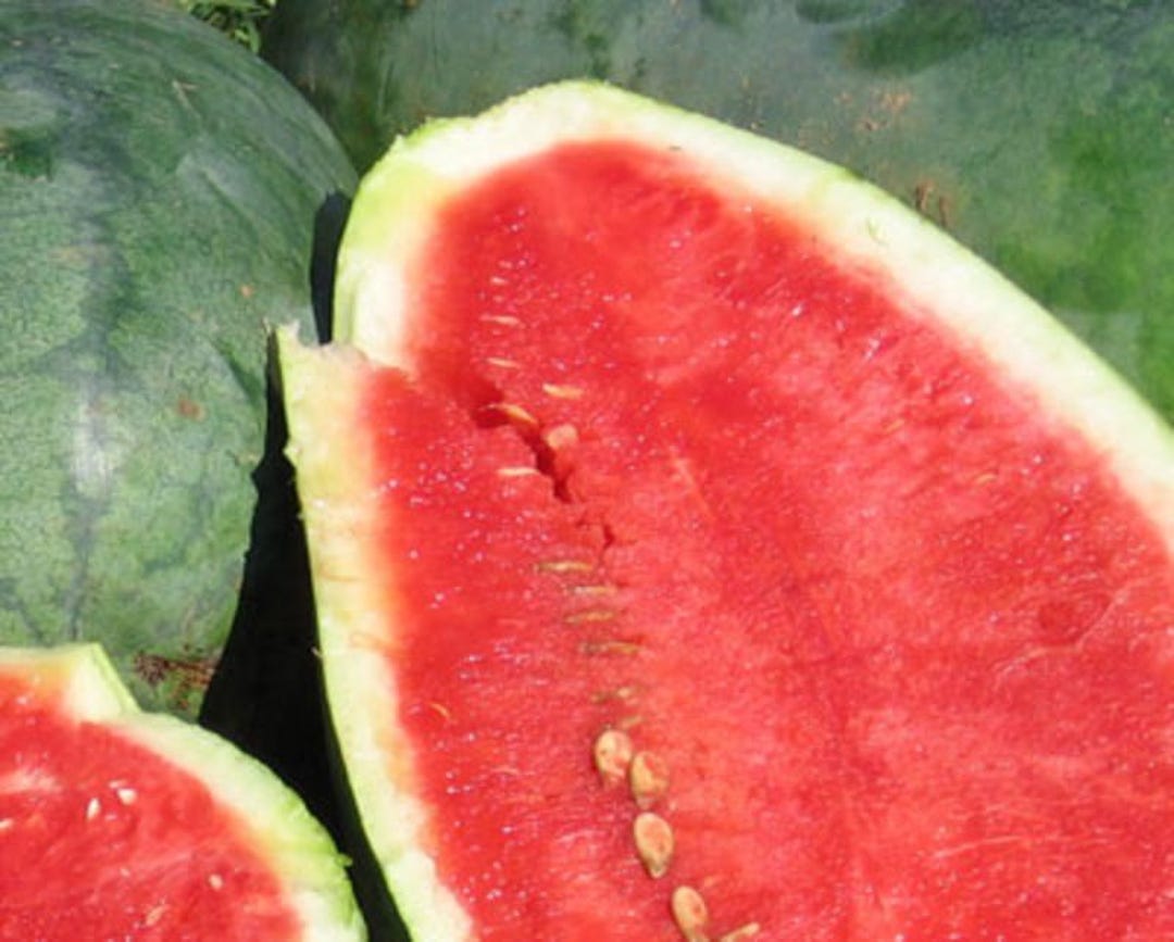 Nancy Watermelon Seed Packet - Seeds - Etsy