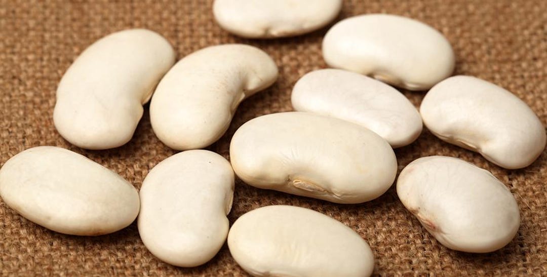 White Kidney Bean (cannellini Bean) Seeds - Seed Packet - Etsy