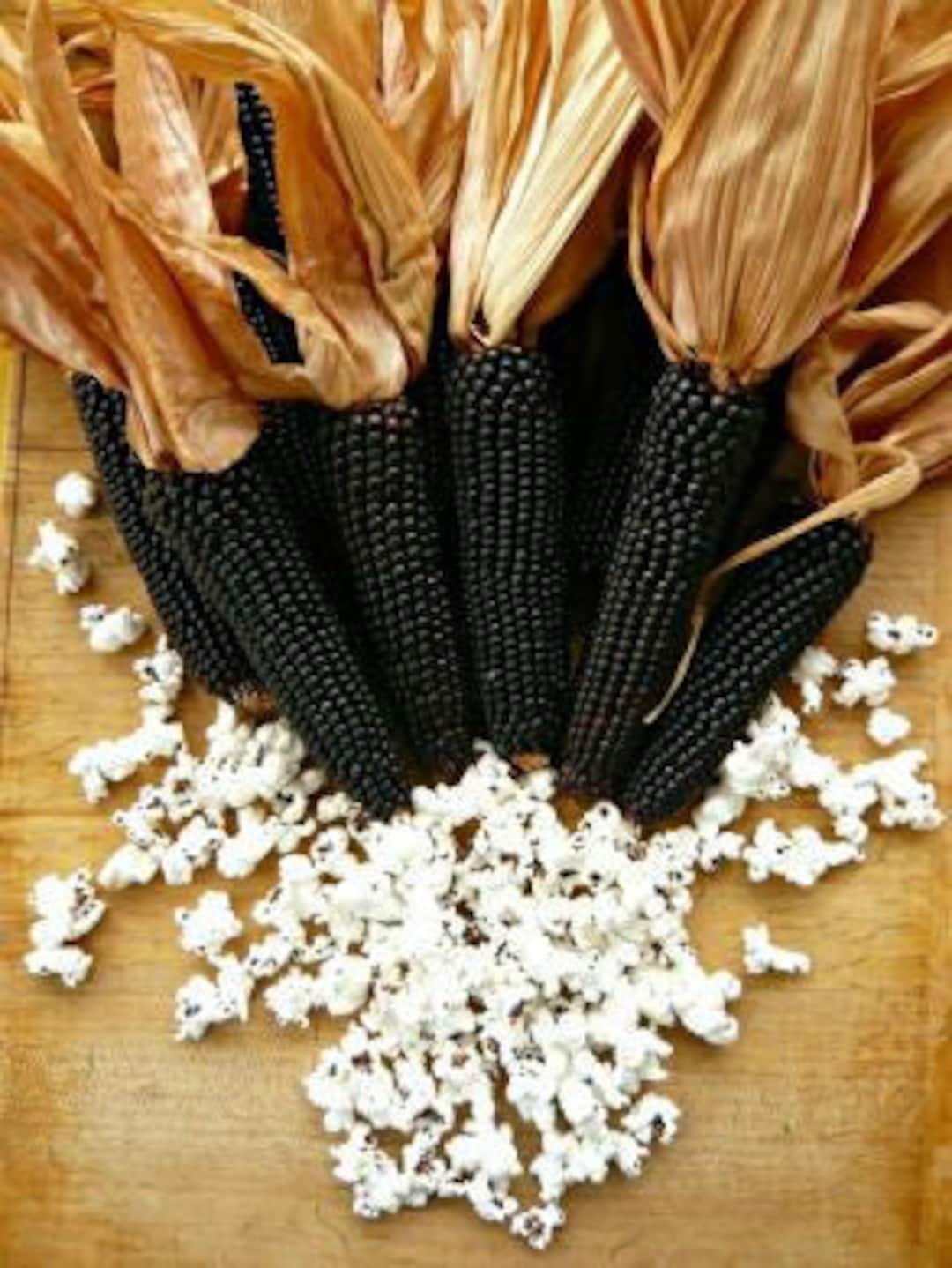 Dakota Black Popcorn Heirloom Seeds - Etsy
