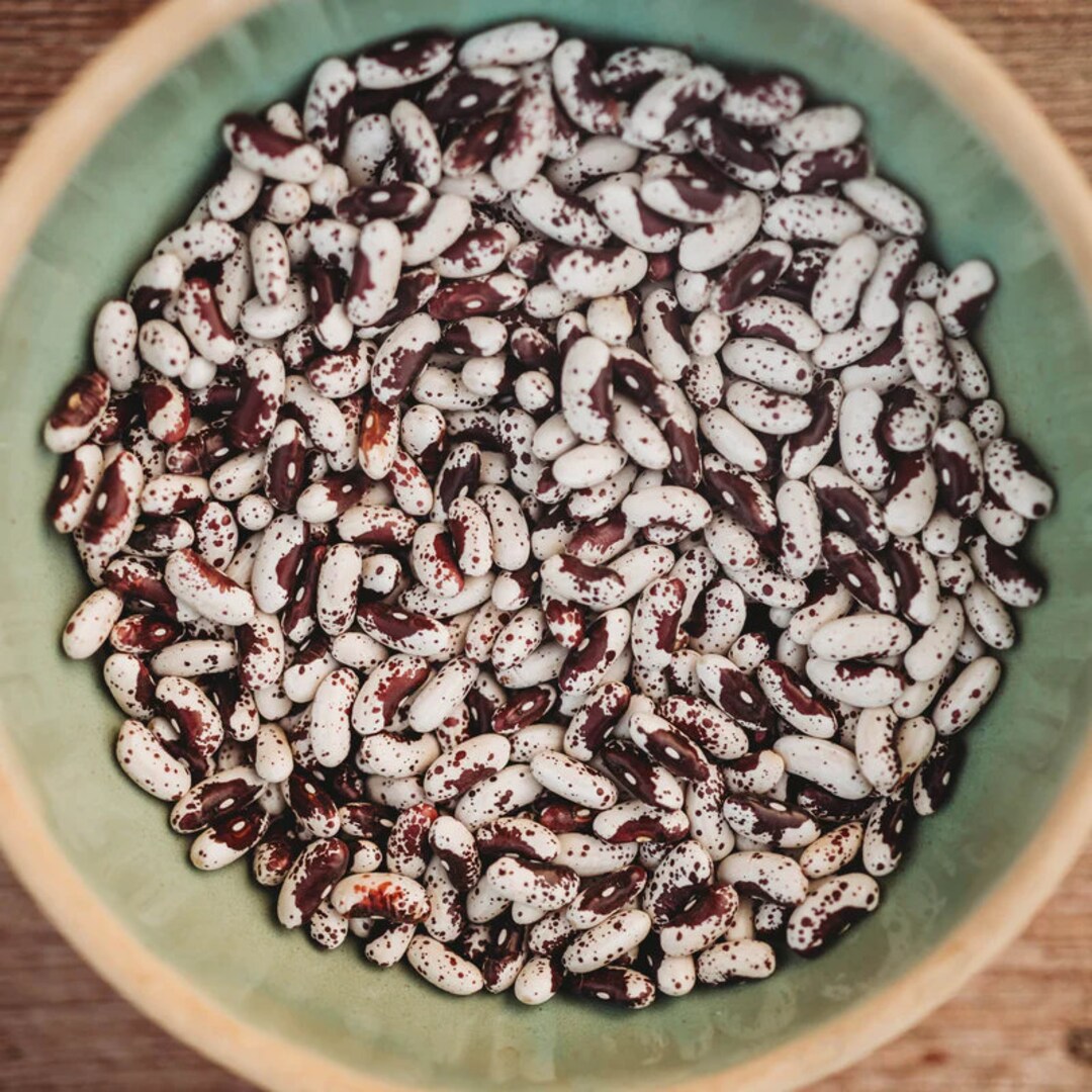 Jacob's Cattle Bean Seeds - Etsy