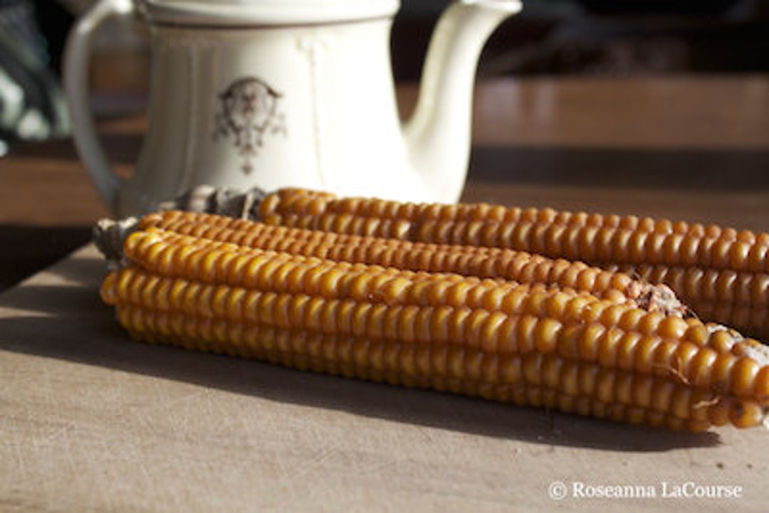 Byron Flint Corn Heirloom Corn Seeds - Etsy