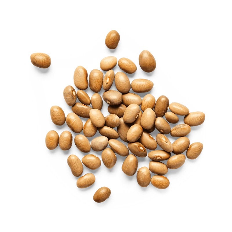 Heirloom Bayo Beans (frijoles) Seeds From Tlaxcala, Mexico - Etsy