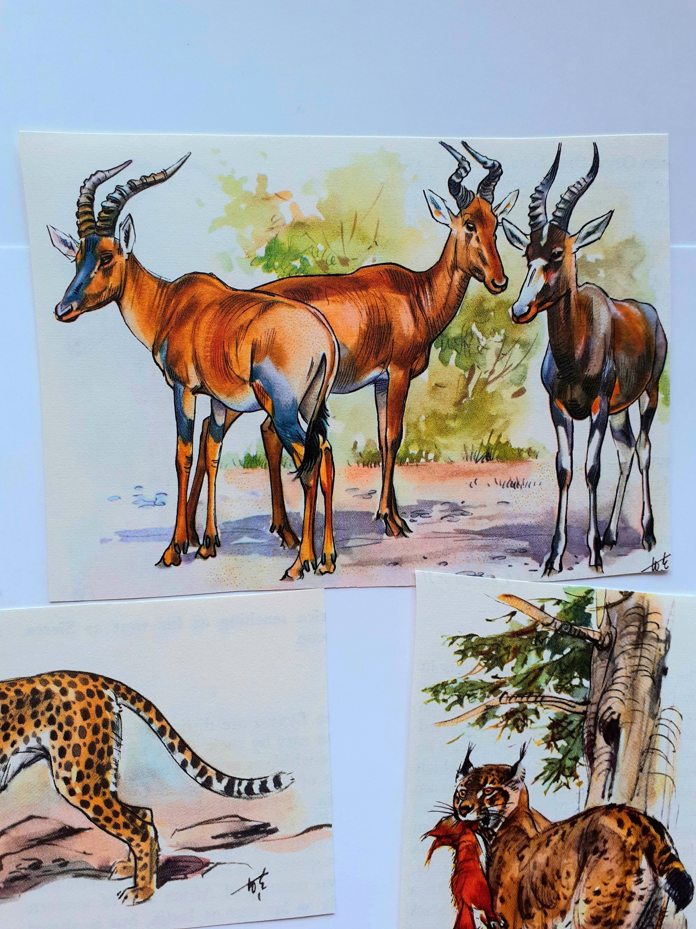 Vintage Wild Animal Scraps, Wildlife Junk Journal Kit, Animal Scrapbook ...