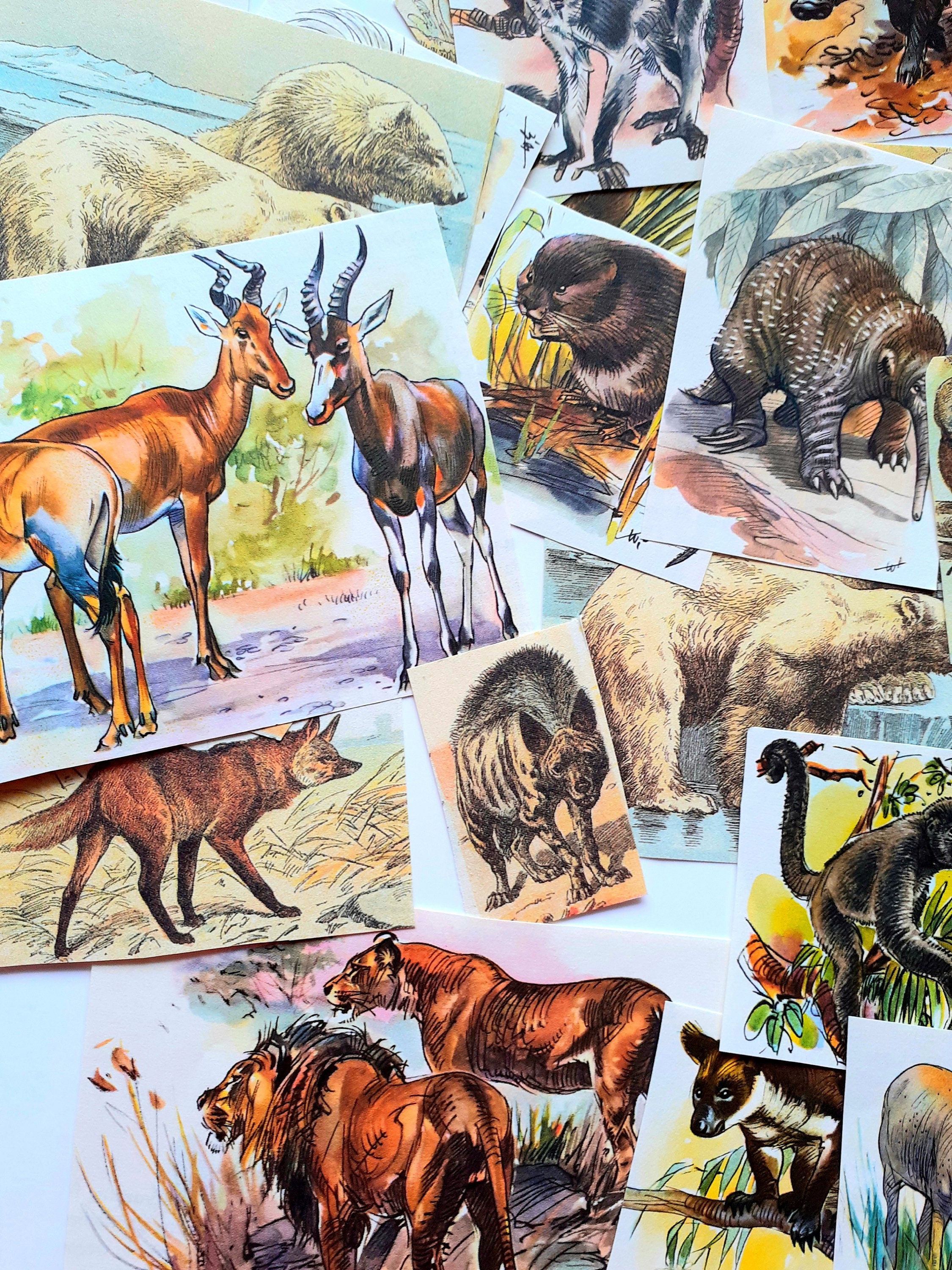 Vintage Wild Animal Scraps, Wildlife Junk Journal Kit, Animal Scrapbook ...