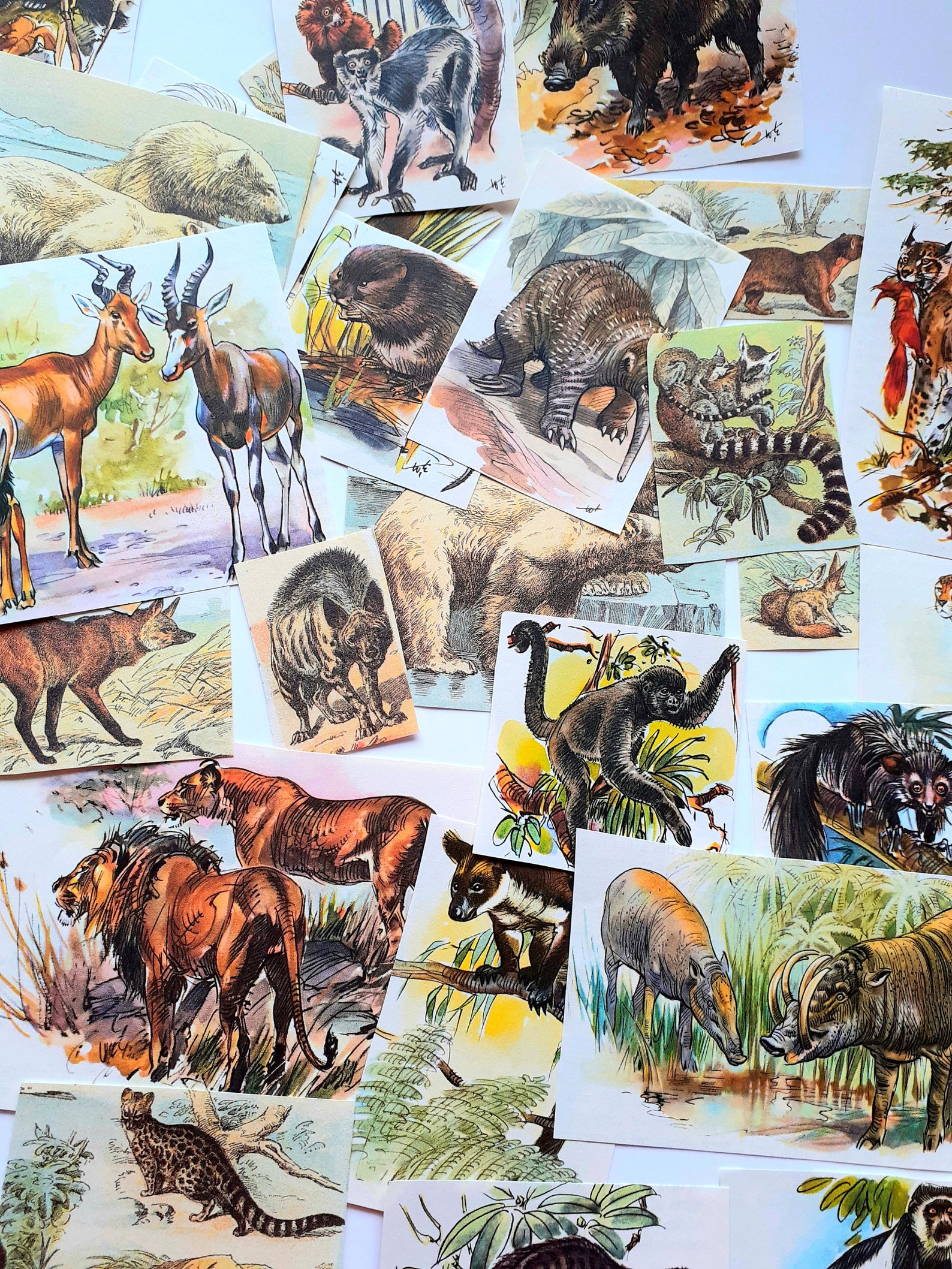 Vintage Wild Animal Scraps, Wildlife Junk Journal Kit, Animal Scrapbook ...