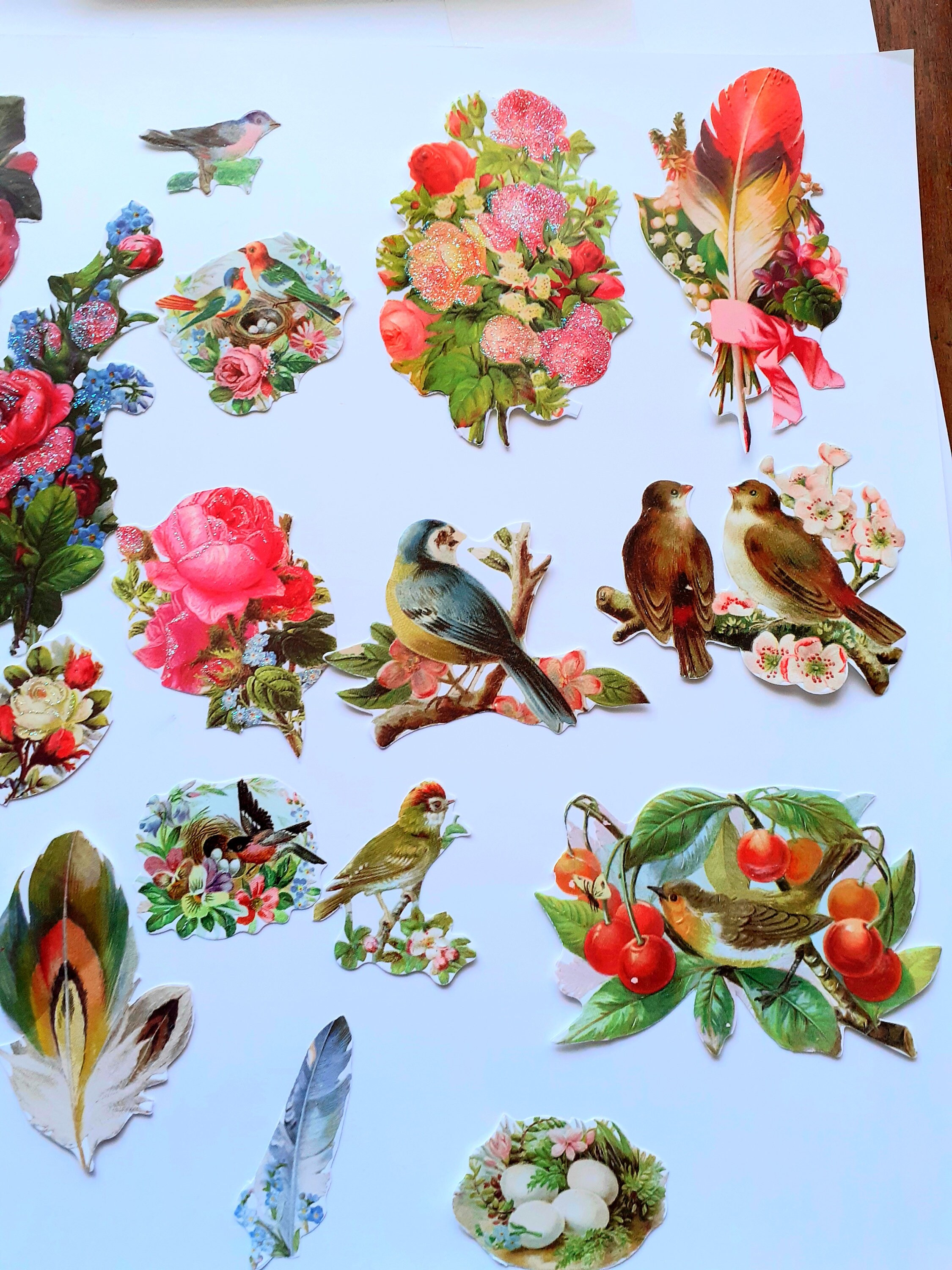 Victorian Style Nature Scraps, Vintage Flower Scraps, Vintage Bird ...