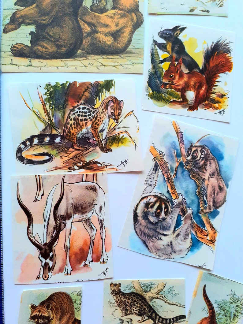 Vintage Nature Scraps, Vintage Wild Animal Scraps, Animals of the World ...