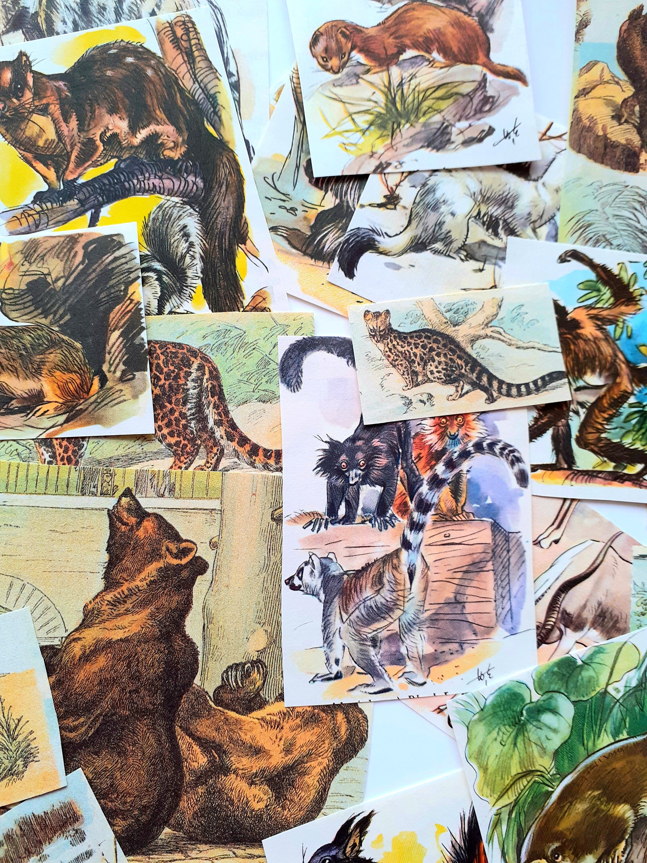 Vintage Nature Scraps, Vintage Wild Animal Scraps, Animals of the World ...