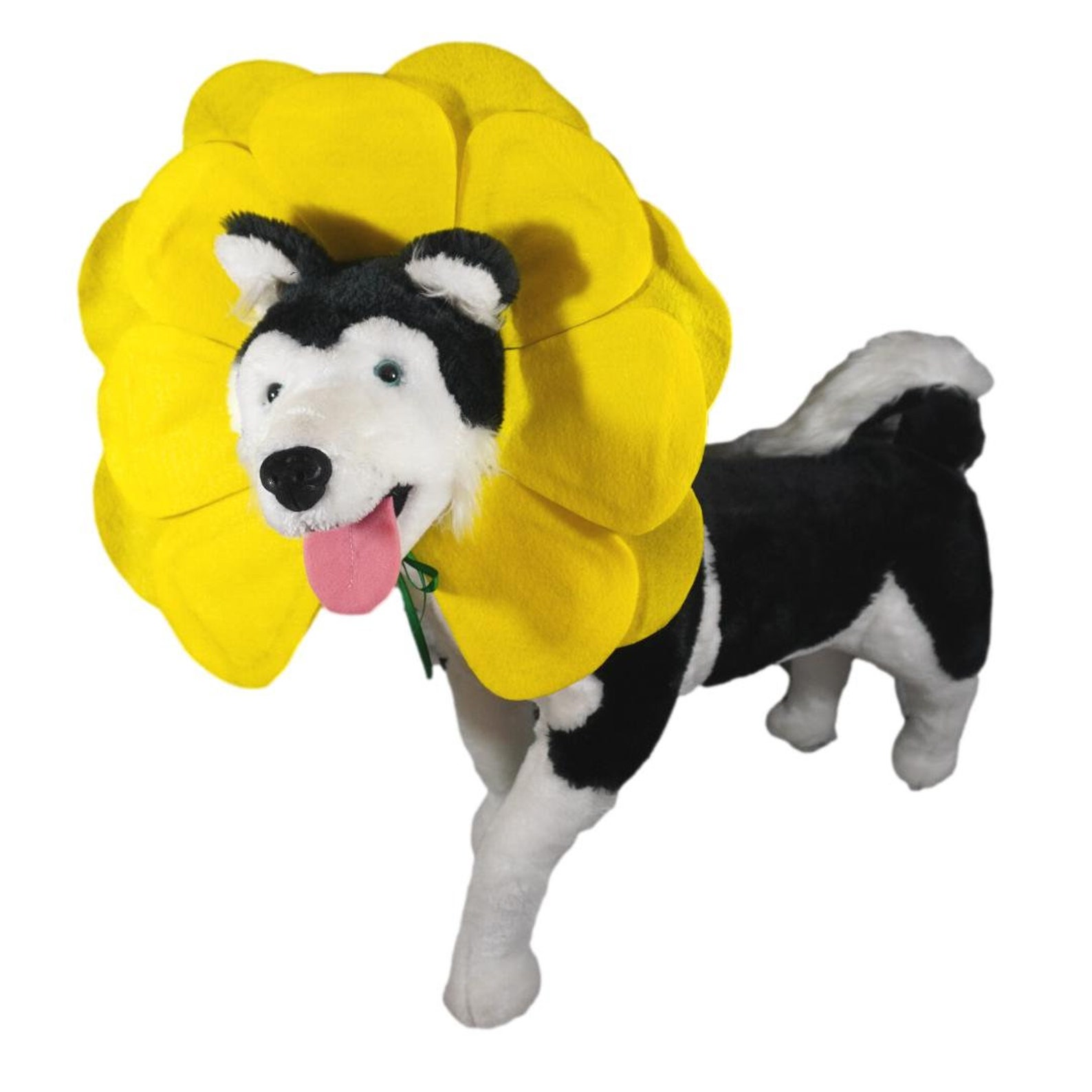 Yellow Flower Dog Costume puppy Costume Cat Costume - Etsy