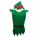 PETER PAN Costume Tunic and Hat (neverland) - Baby / Toddler / Kids ...