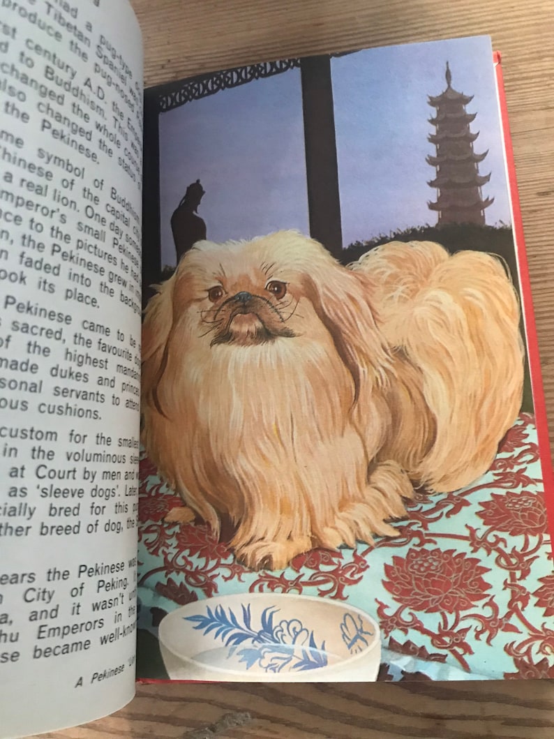 A Ladybird Book Series 682 Dogs 1968 - Etsy