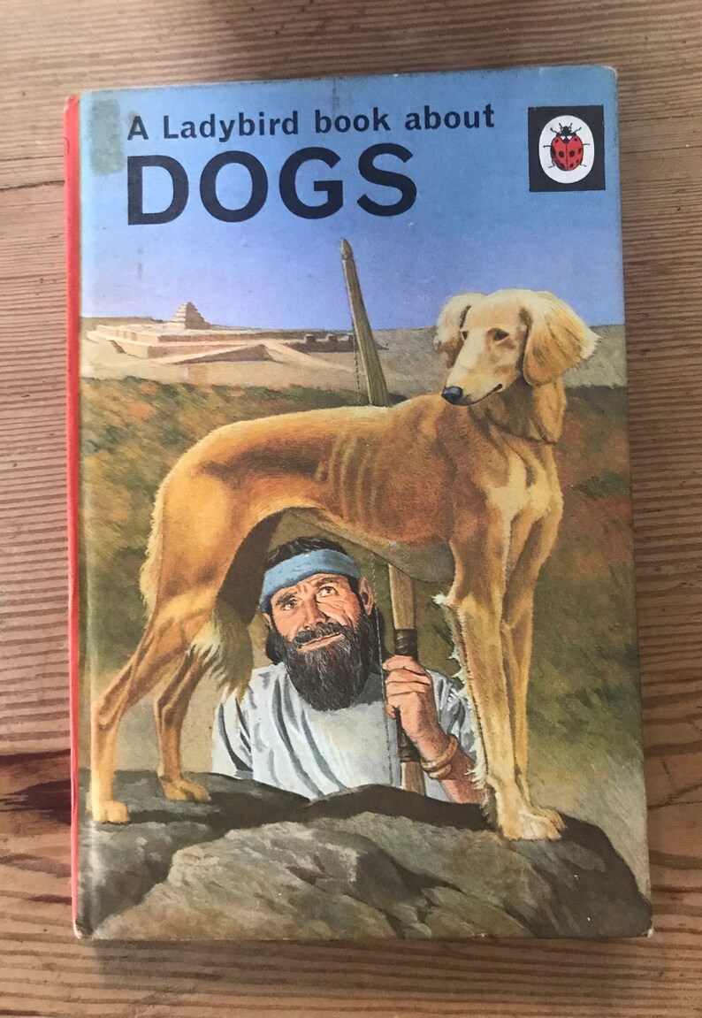 A Ladybird Book Series 682 Dogs 1968 - Etsy