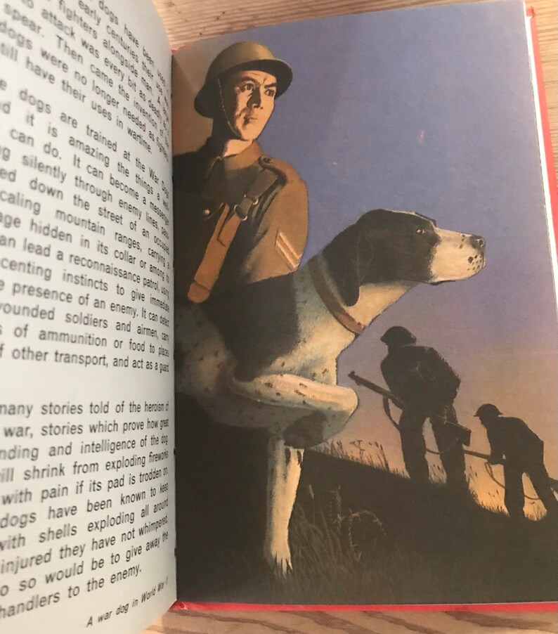 A Ladybird Book Series 682 Dogs 1968 - Etsy