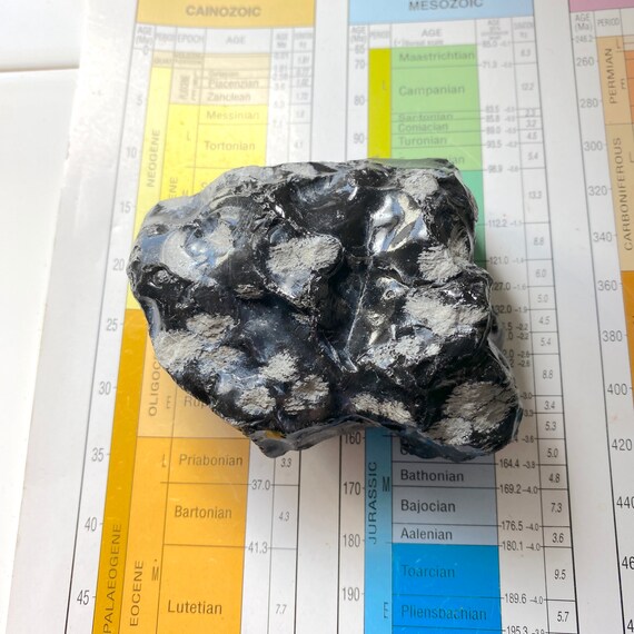 Home & Living Home Décor Utah SNOWFLAKE OBSIDIAN FROM Black Spring 270g ...