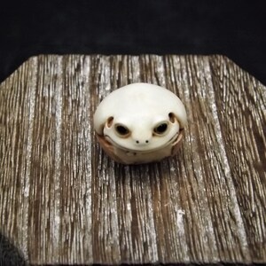 Adam Binder in a Nutshell Series ivory Hazel Frog. - Etsy