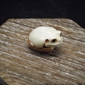 Adam Binder in a Nutshell Series ivory Hazel Frog. - Etsy