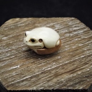 Adam Binder in a Nutshell Series ivory Hazel Frog. - Etsy