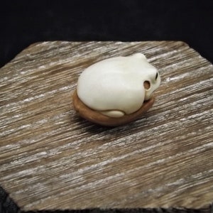 Adam Binder in a Nutshell Series ivory Hazel Frog. - Etsy