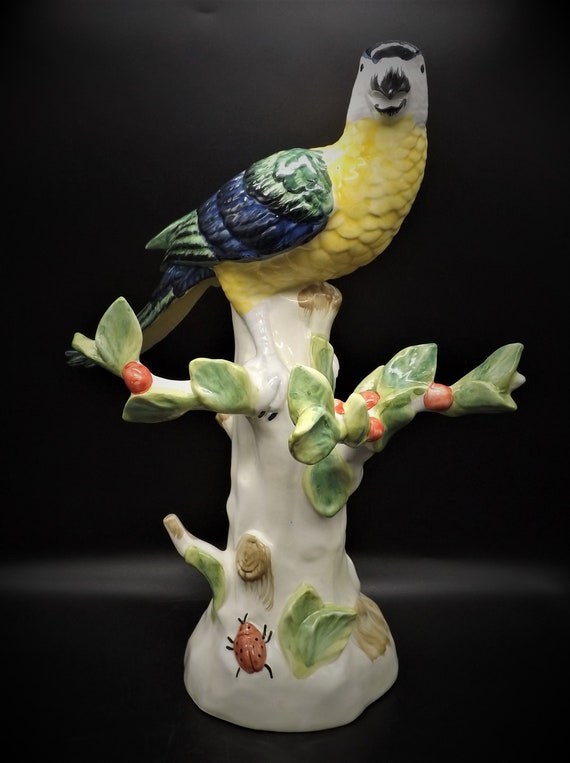 Blue Crowned Parrot