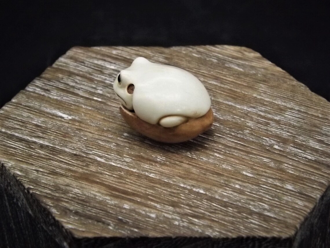 Adam Binder in a Nutshell Series ivory Hazel Frog. - Etsy