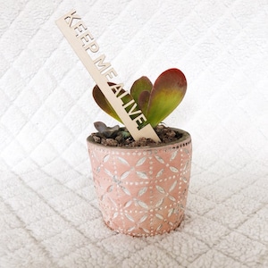 Plant Marker,water Me Plant Topper,keep Me Alive Plant Topper ...