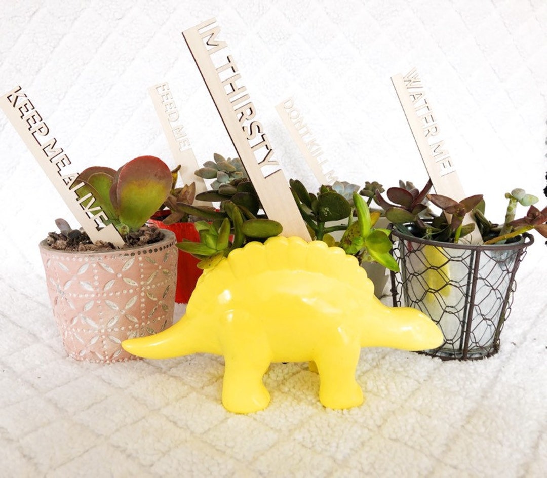 Plant Marker,water Me Plant Topper,keep Me Alive Plant Topper ...