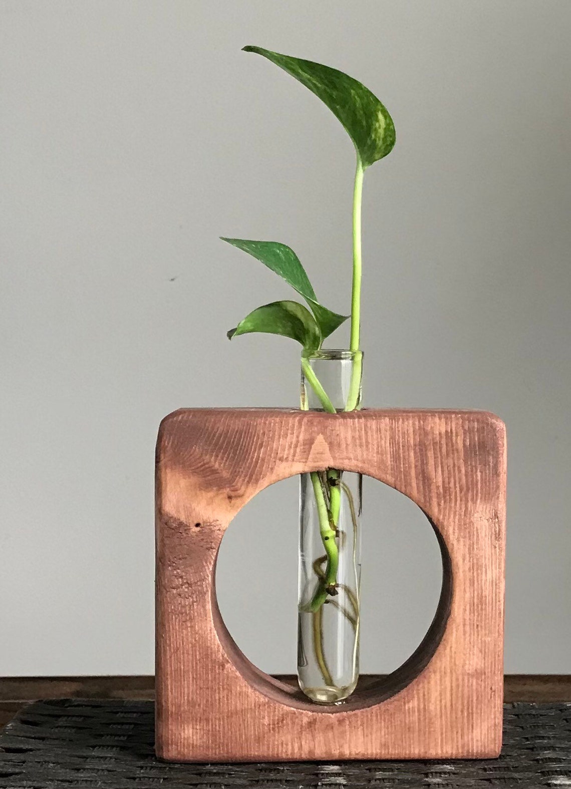 Plant Propagation Stand - Etsy