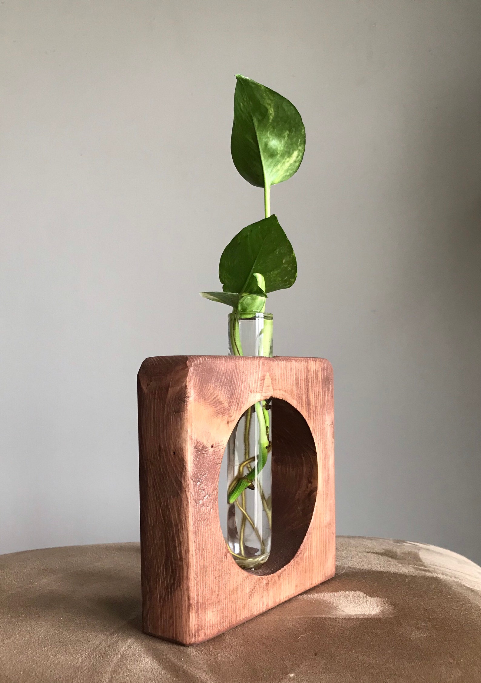 Plant Propagation Stand - Etsy