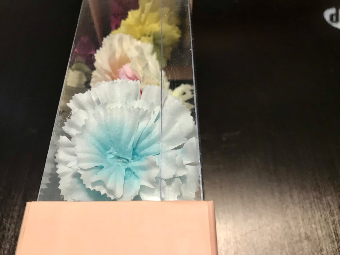 Prima Box of Caribbean Collections, Saba. - Etsy