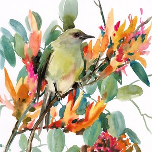Bellbird Watercolor Art Birds of New Zeland Wall Artwork - Etsy