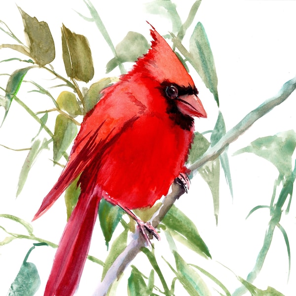 Cardinal Watercolor - Etsy
