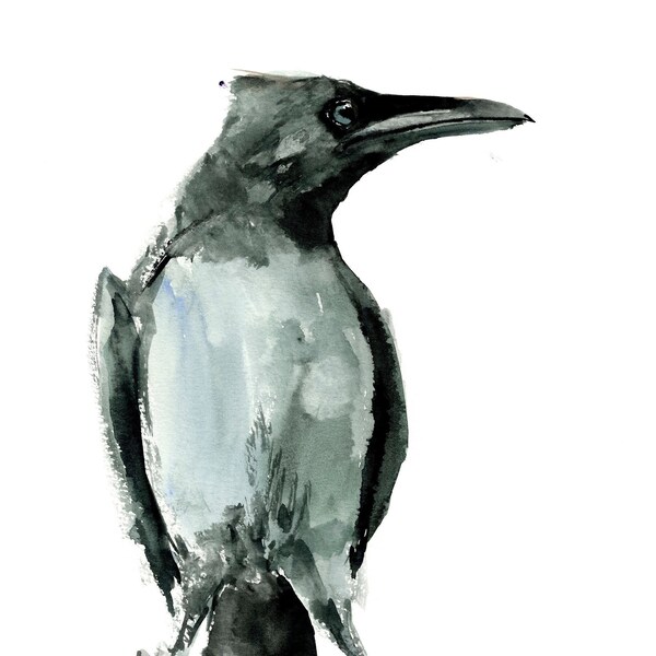 Crow Watercolor - Etsy