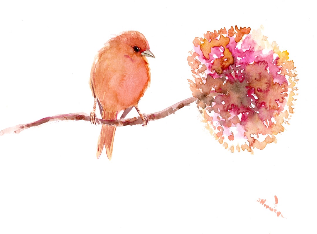 Peach Canary Bird Watercolor Painting by Artist Suren - Etsy