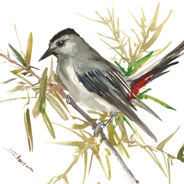Catbird Painting - Etsy