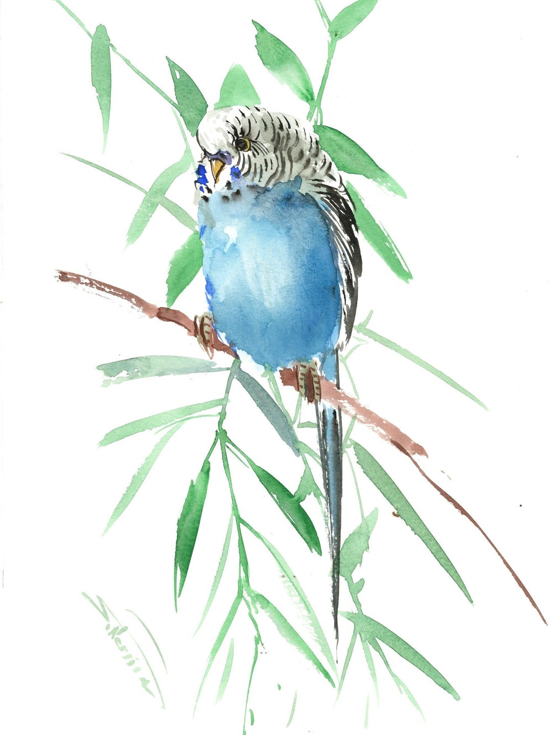 Blue Parakeet Parrot Watercolor Painting, Original Hand Painted Artwork ...