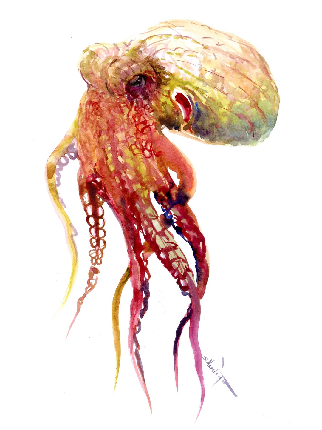 Octopus Original Watercolor Artwork, Marine Life Wall Art Home Decor ...