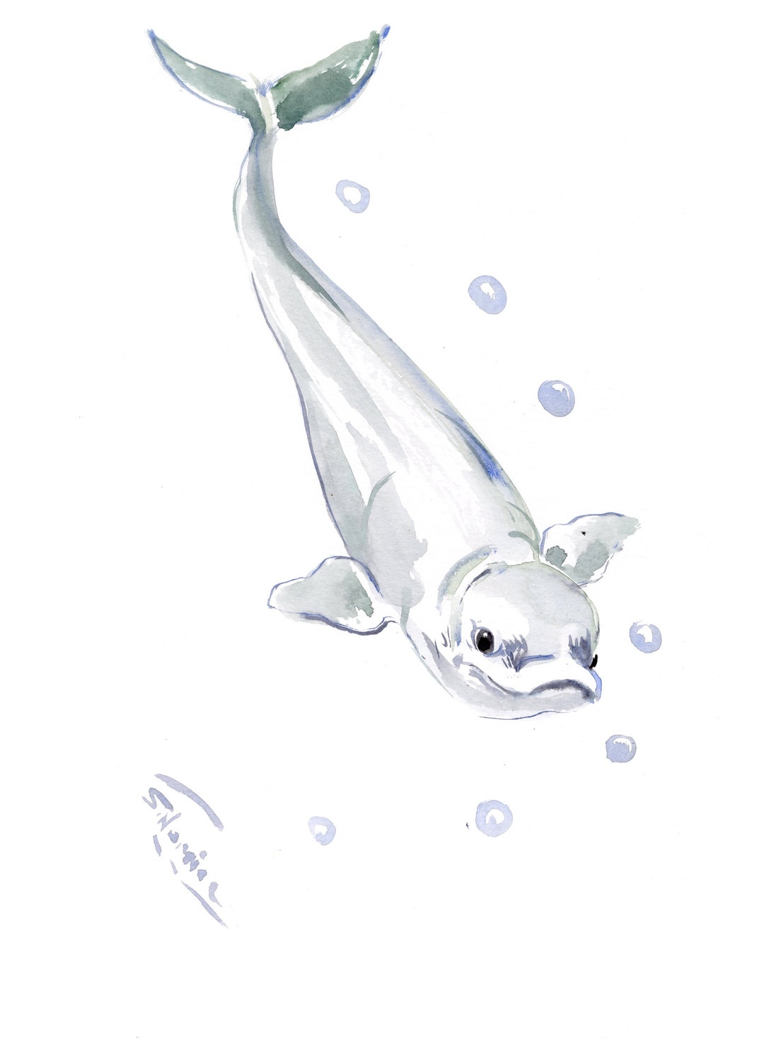Beluga Whale Artwork, Hand Painted Original Watercolor Painting - Etsy