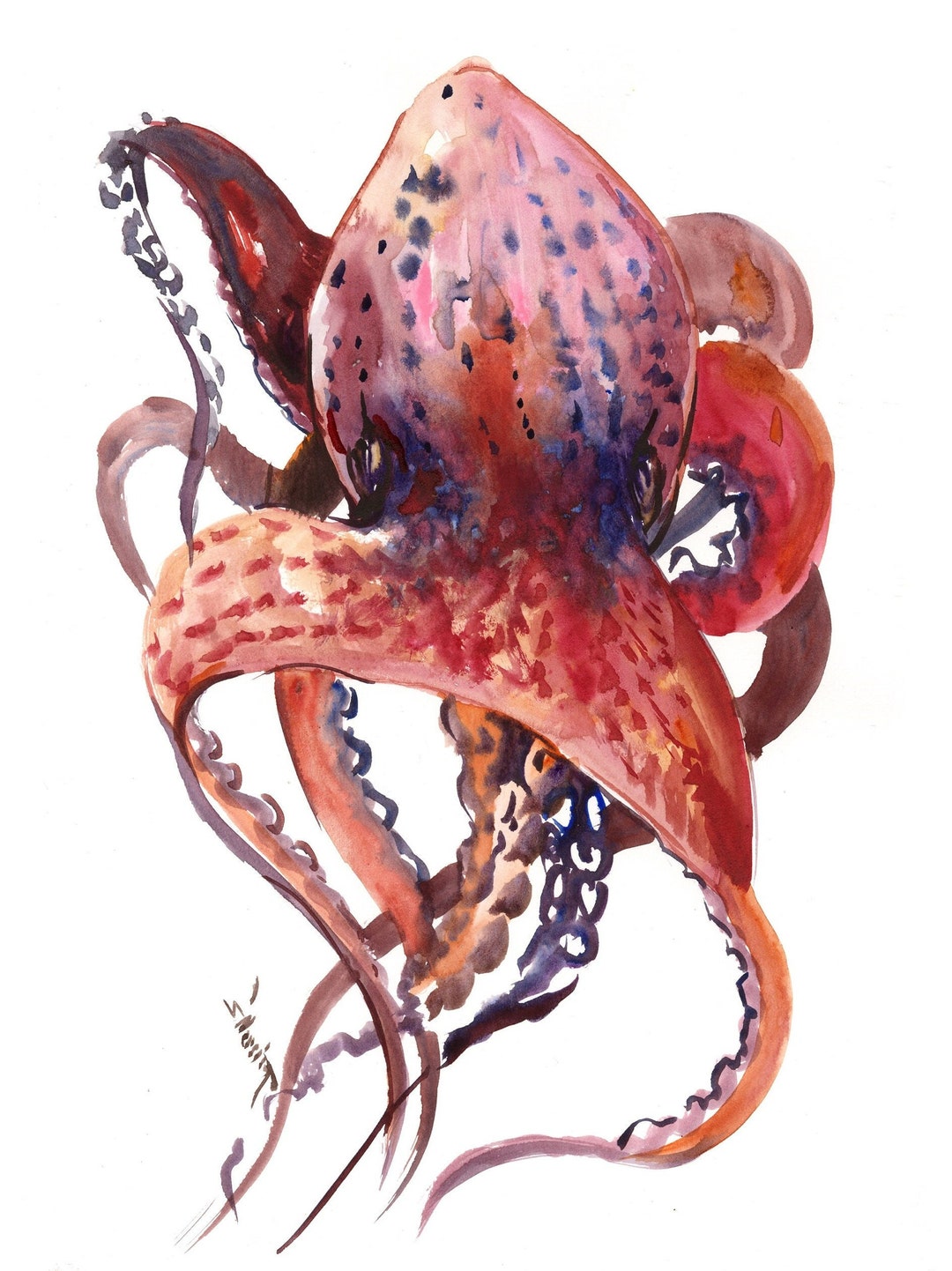Octupus Artwork, Hand Painted Original Painting - Etsy