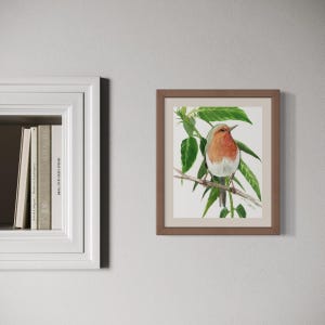 Robin Bird Watercolor Artwork, Original Painting, Cute Little Bird ...