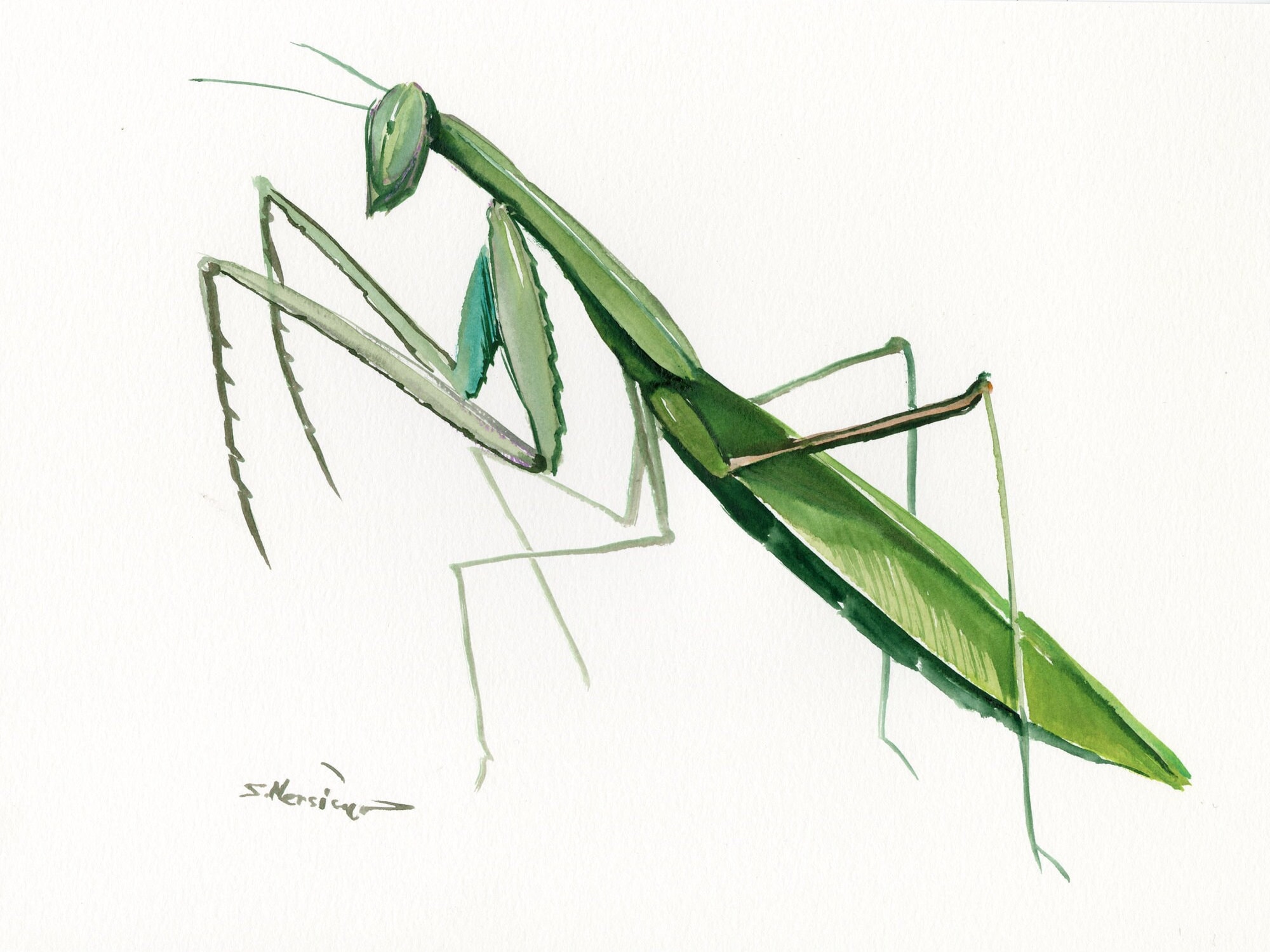 Praying Mantis Painting