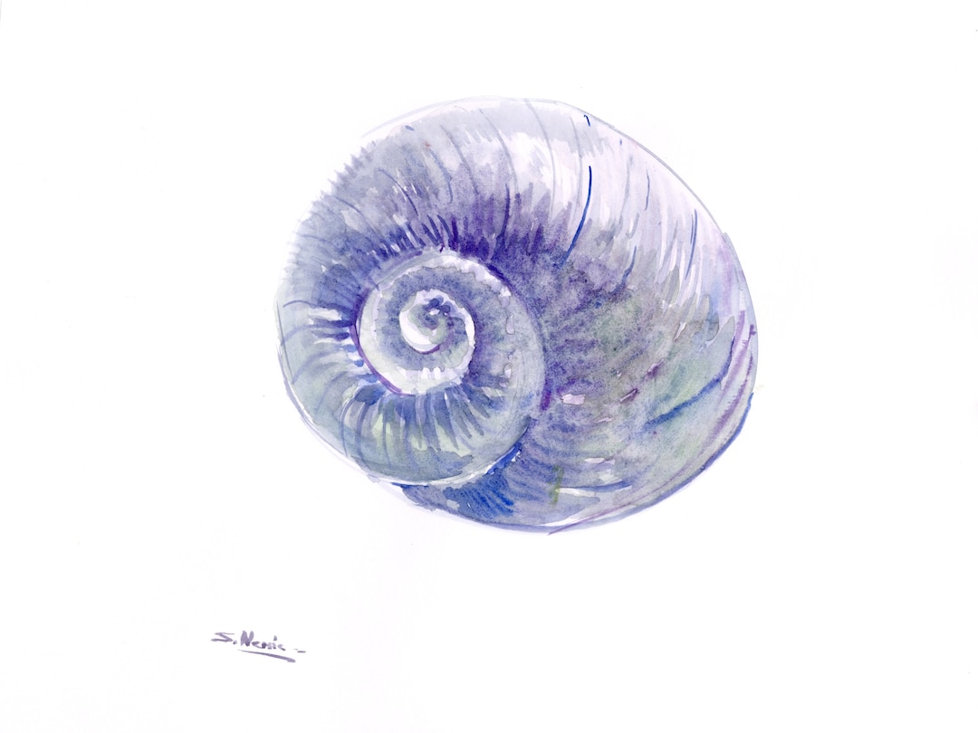 Soft Aqua Blue Seashell Watercolor Artwork, Original Painting - Etsy