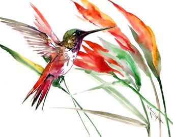 Hummingbird Watercolor | Etsy
