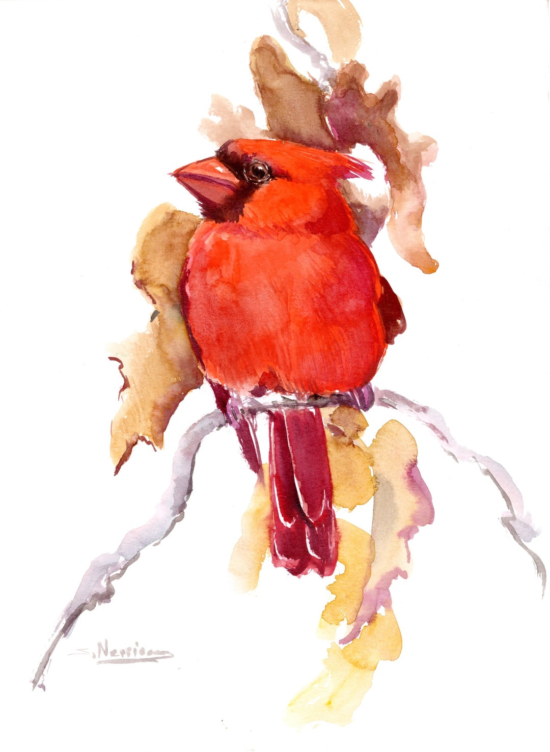 Watercolor Cardinal Bird Artwork, Original, Hand-painted Wall Art - Etsy