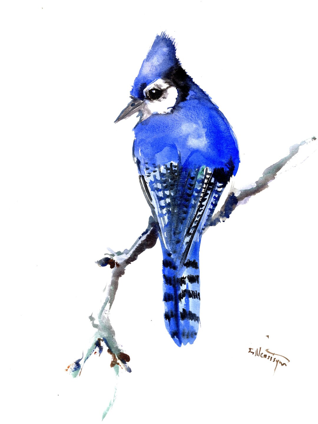Blue Jay Hand-painted Original Artwork, Blue and White Watercolor Wall ...