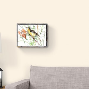 Eastern Meadowlark Bird Watercolor Painting, Original Artwork, Birds ...